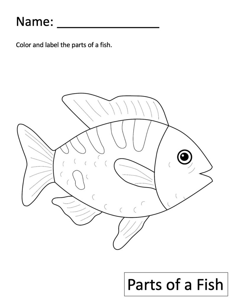 Parts of a Fish - Montessori 3-part-cards - Etsy Canada
