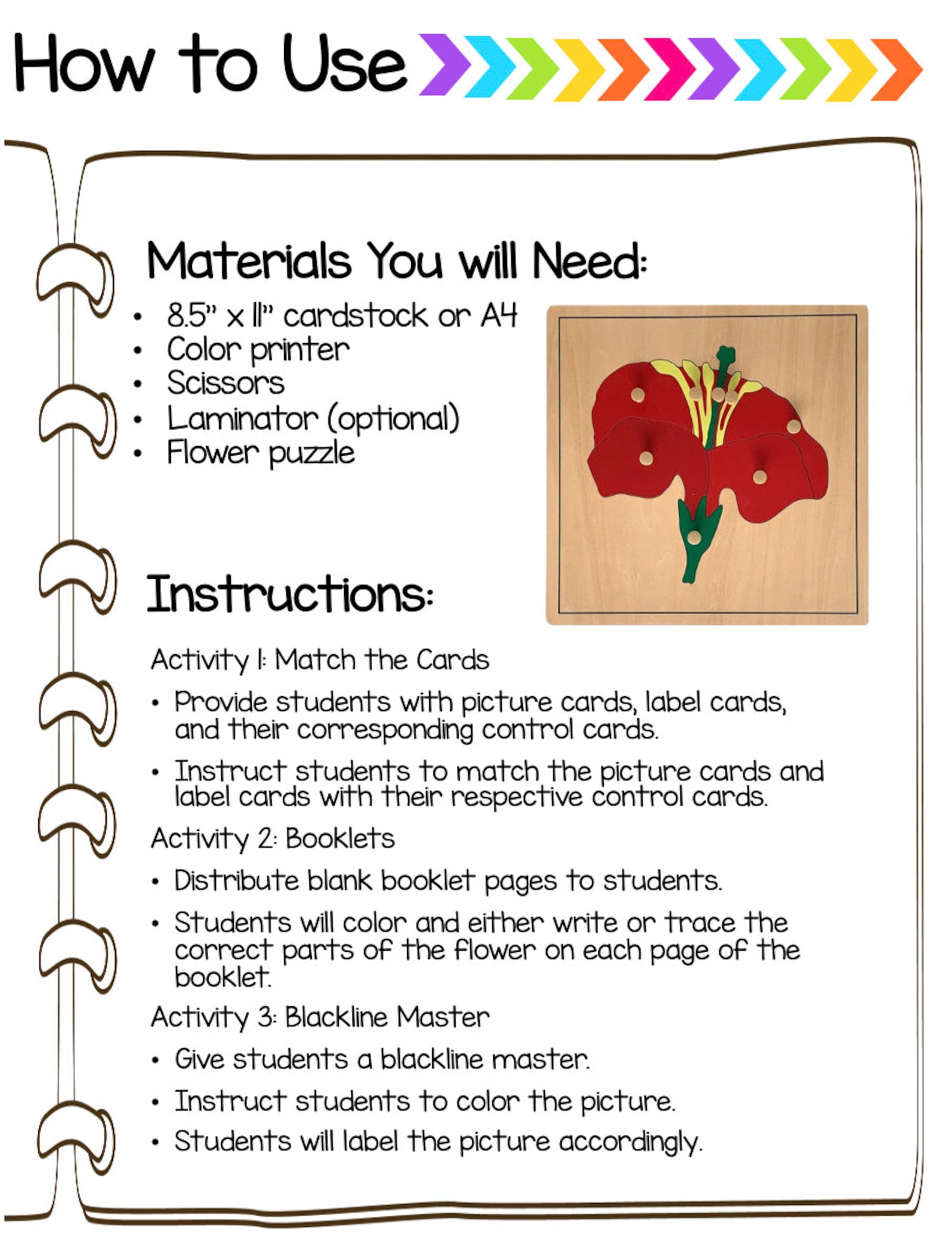 Parts of a Flower-montessori 3-part-cards - Etsy