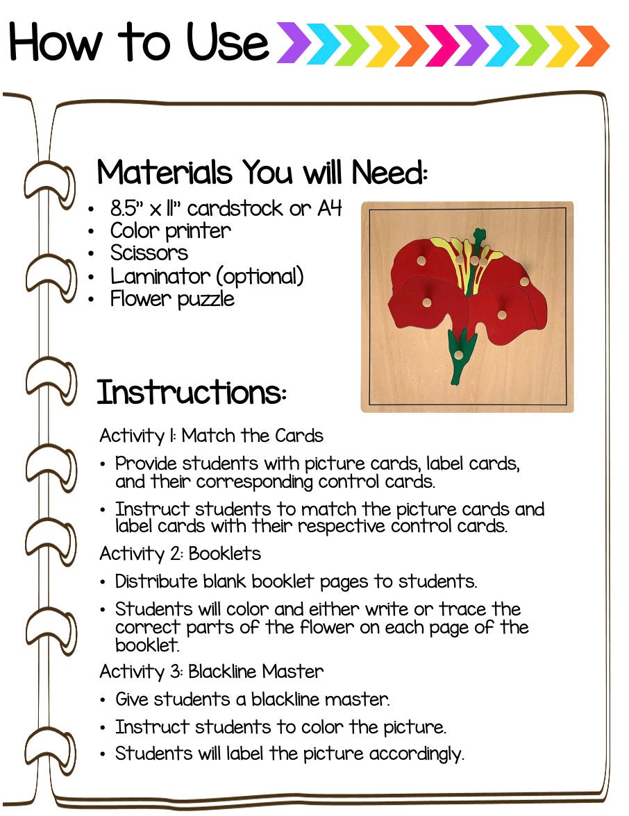 Parts of a Flower-montessori 3-part-cards - Etsy