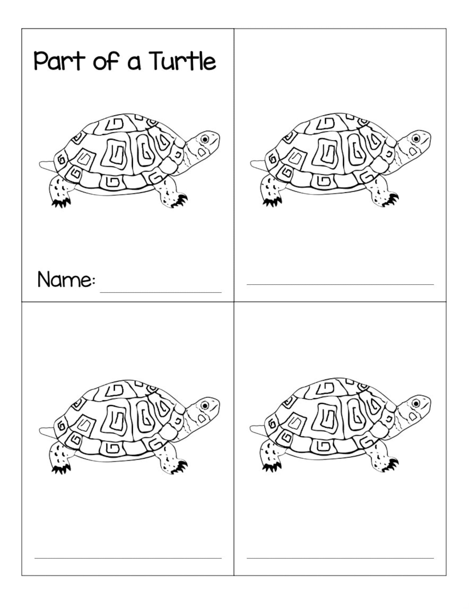 Parts of Turtle - Montessori 3-part-cards - Etsy