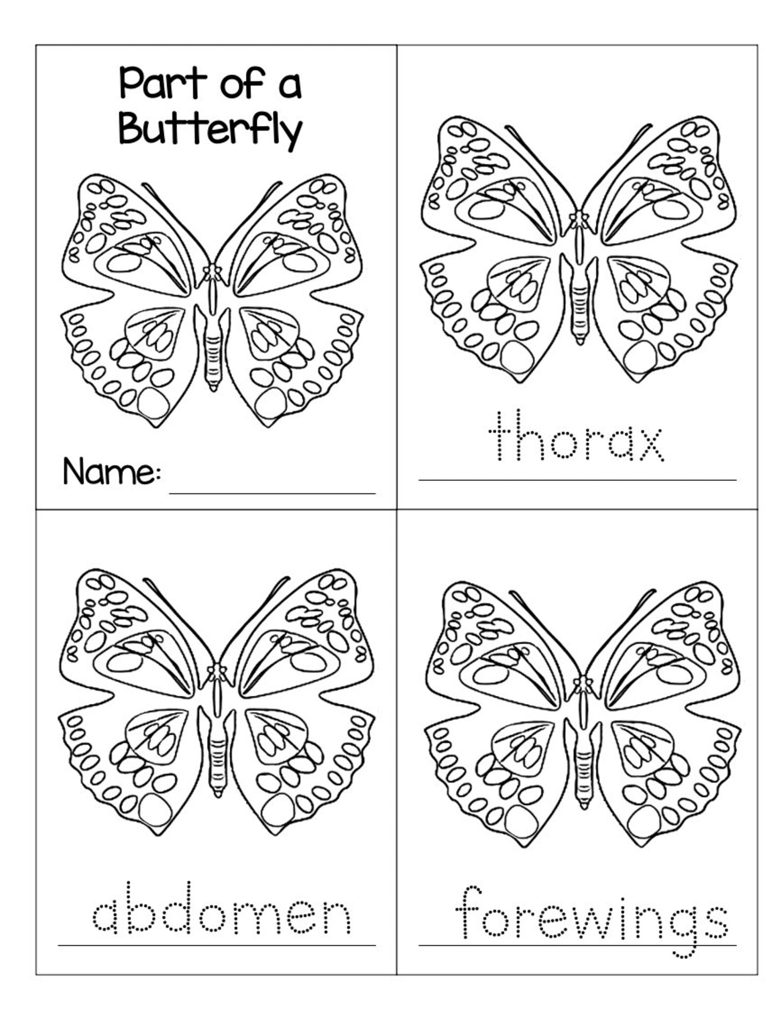 Parts of a Butterfly - Montessori 3-part-cards - Etsy