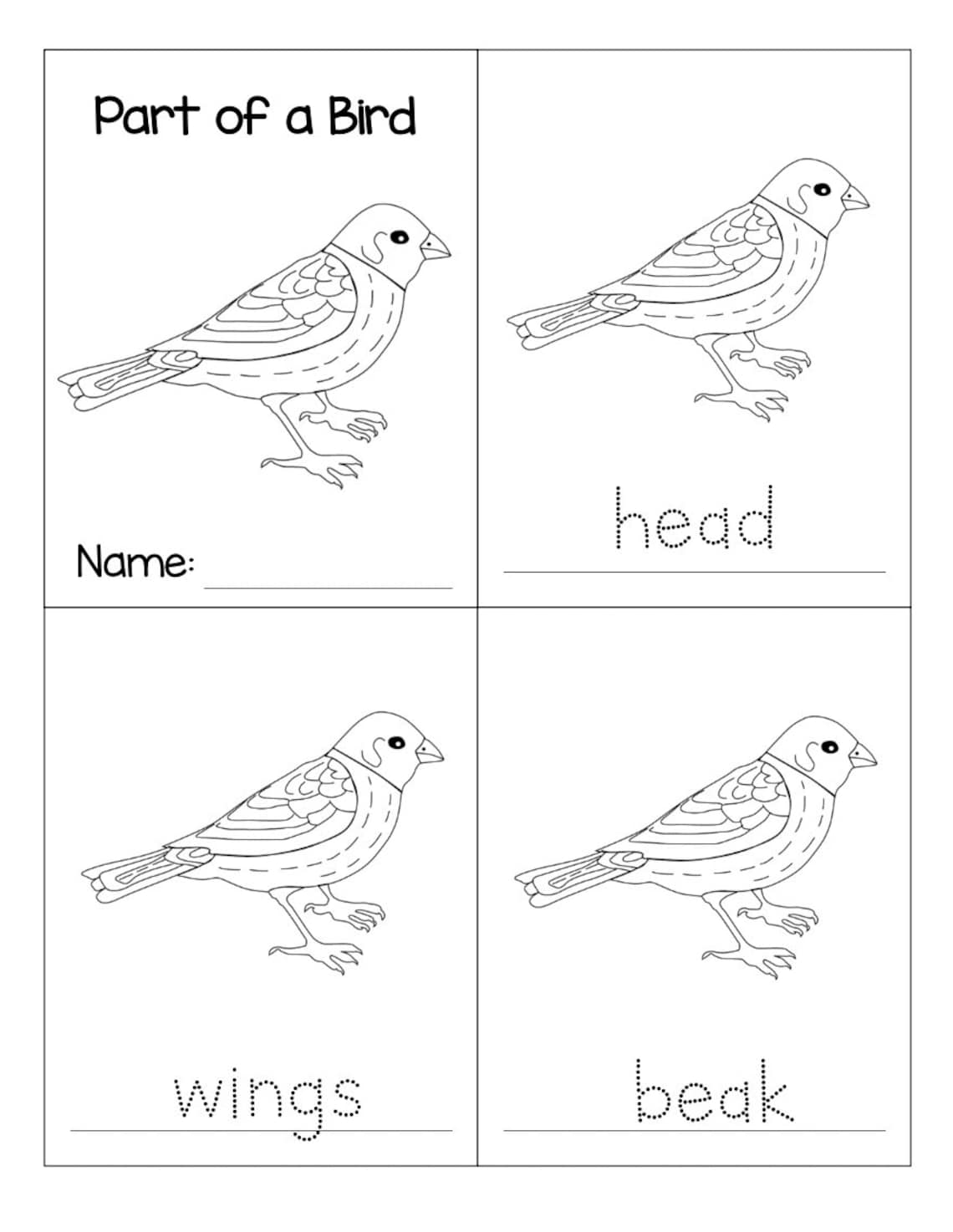 Parts of a Bird - Montessori 3-part-cards - Etsy