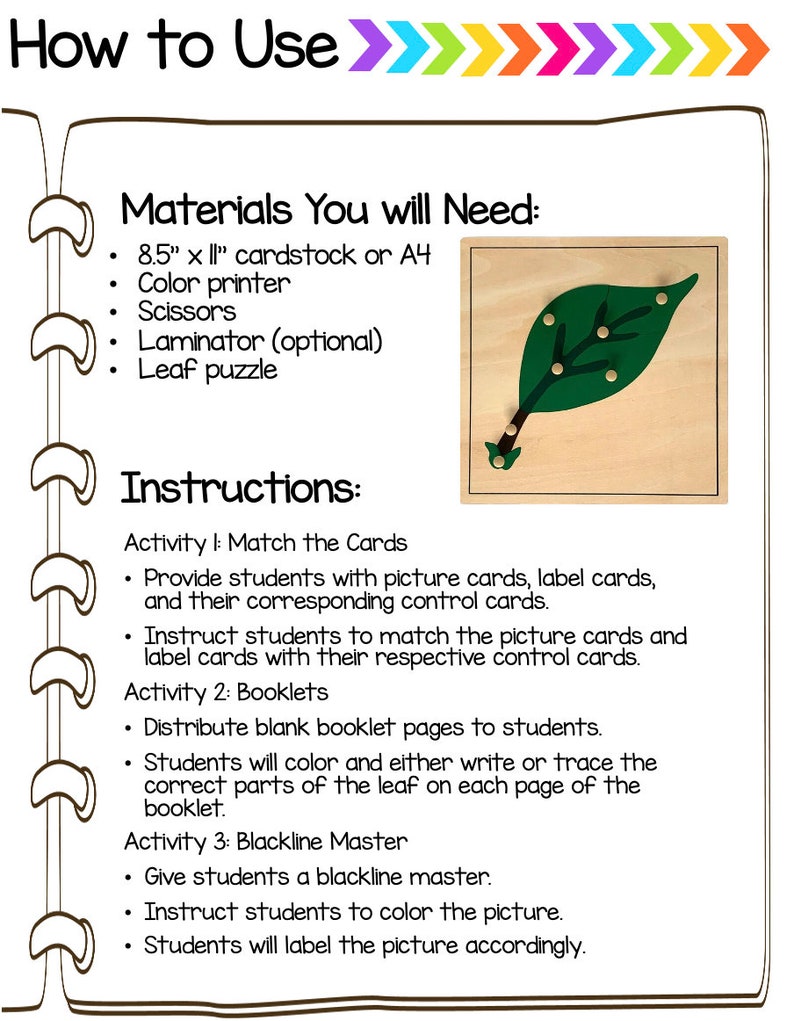 Parts of a Leaf - Montessori 3-part-cards - Etsy