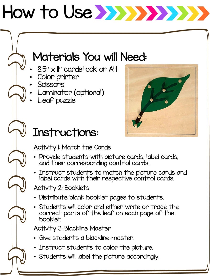 Parts of a Leaf - Montessori 3-part-cards - Etsy