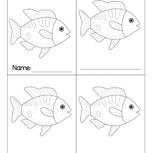 Parts of a Fish - Montessori 3-part-cards - Etsy