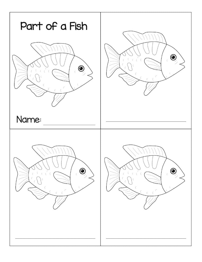 Parts of a Fish - Montessori 3-part-cards - Etsy