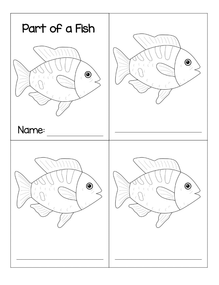 Parts of a Fish - Montessori 3-part-cards - Etsy