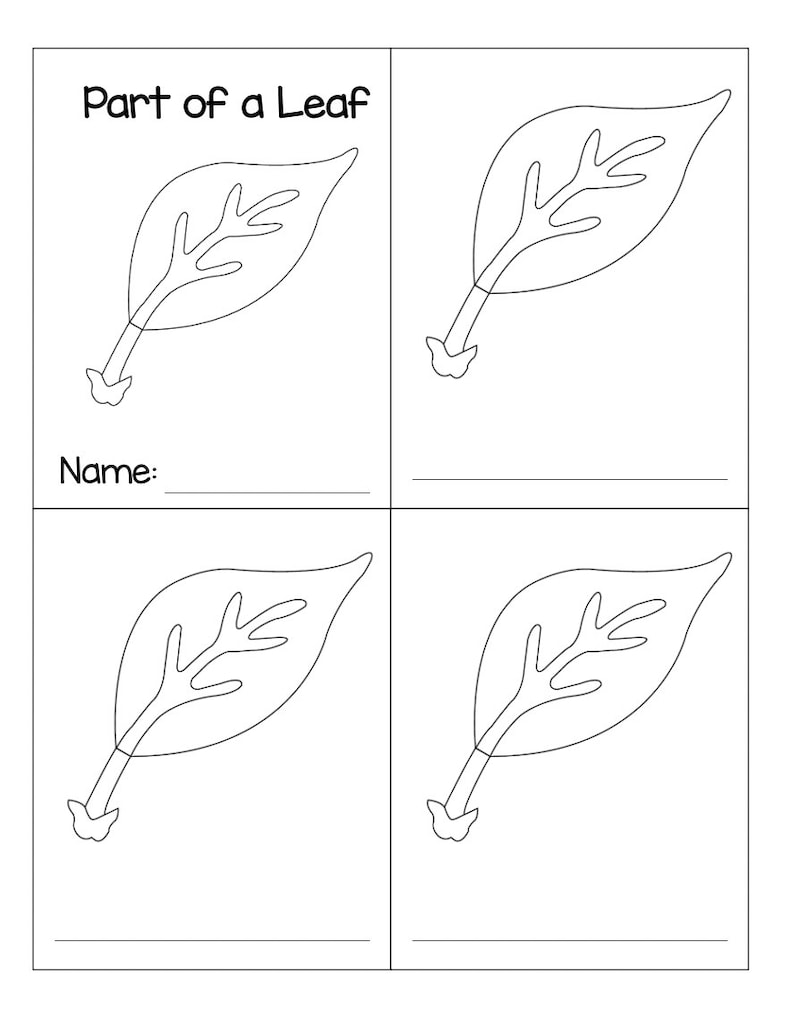 Parts of a Leaf - Montessori 3-part-cards - Etsy