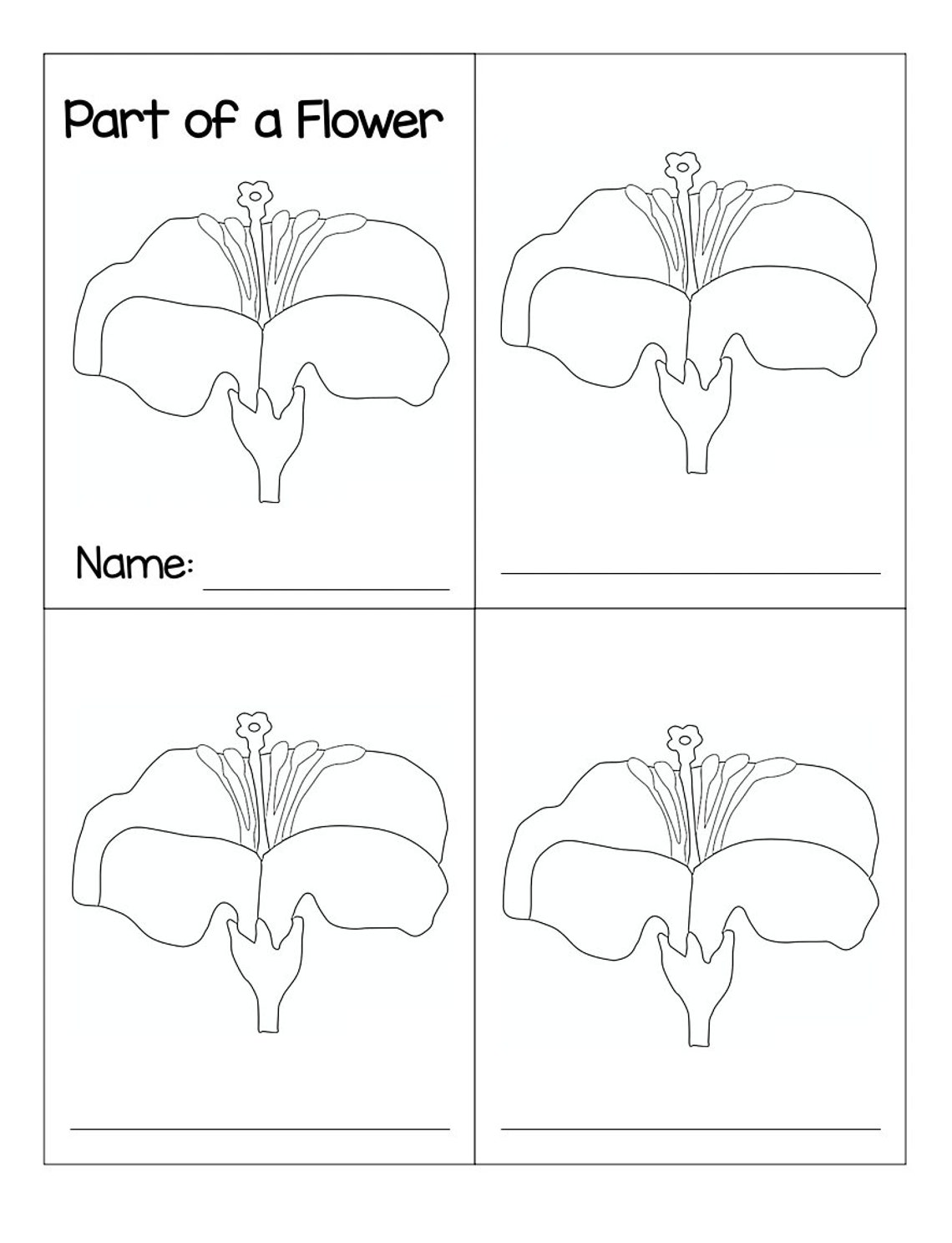 Parts of a Flower-montessori 3-part-cards - Etsy