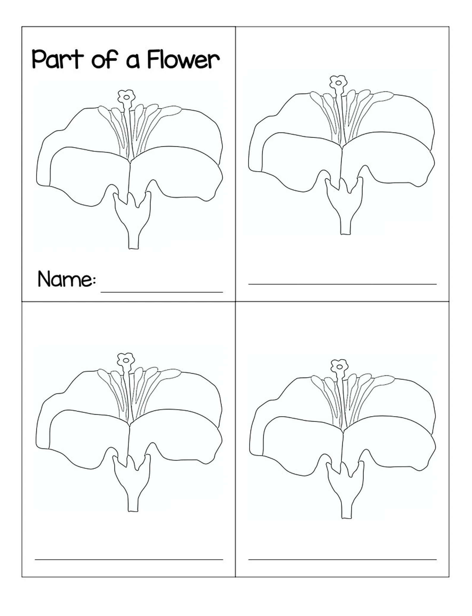 Parts of a Flower-montessori 3-part-cards - Etsy