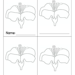 Parts of a Flower-montessori 3-part-cards - Etsy