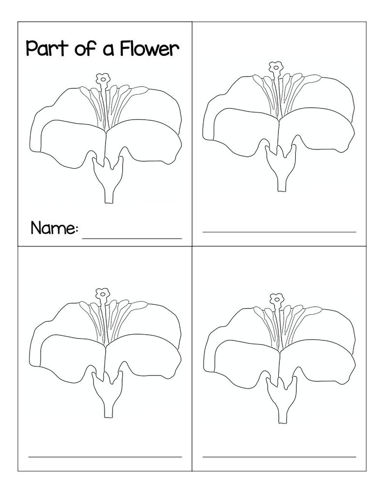 Parts of a Flower-montessori 3-part-cards - Etsy