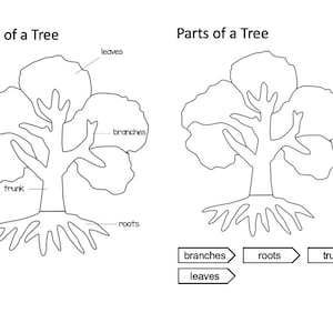 Parts of a Tree - Montessori 3-part-cards - Etsy