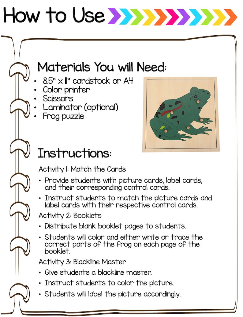 Parts of Frog - Montessori 3-part-cards - Etsy