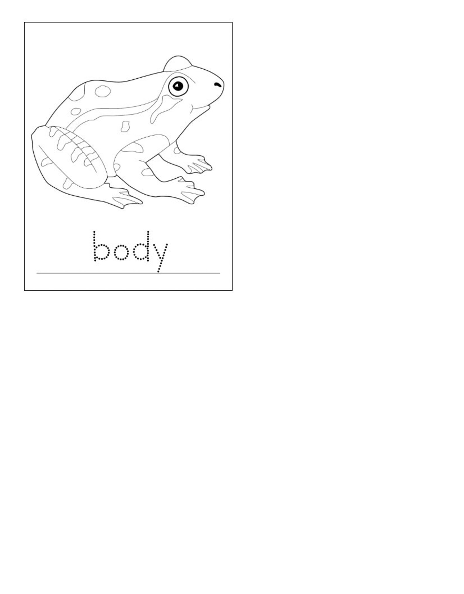 Parts of Frog - Montessori 3-part-cards - Etsy