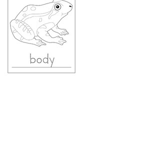 Parts of Frog - Montessori 3-part-cards - Etsy