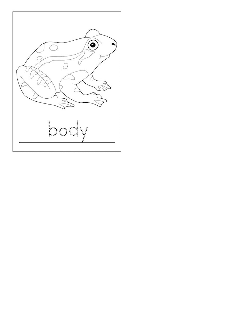 Parts of Frog - Montessori 3-part-cards - Etsy