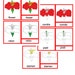 Parts of a Flower-montessori 3-part-cards - Etsy