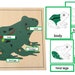 Parts of Frog - Montessori 3-part-cards - Etsy