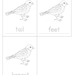 Parts of a Bird Montessori 3-part-cards - Etsy