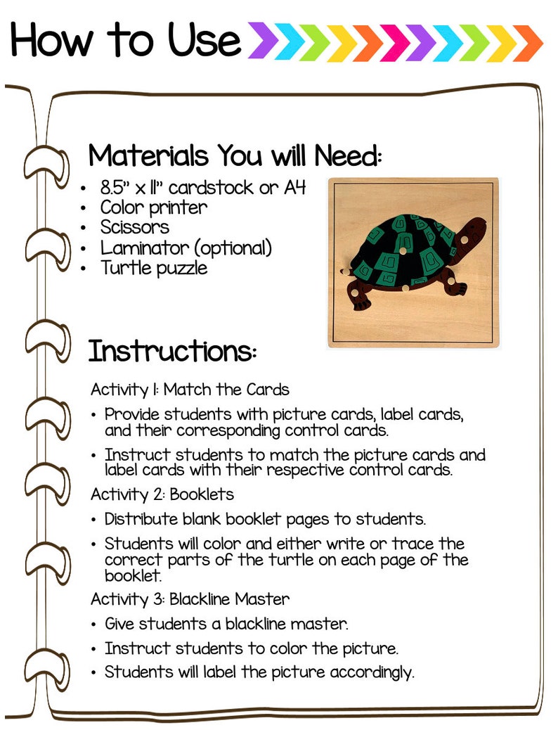 Parts of Turtle - Montessori 3-part-cards - Etsy