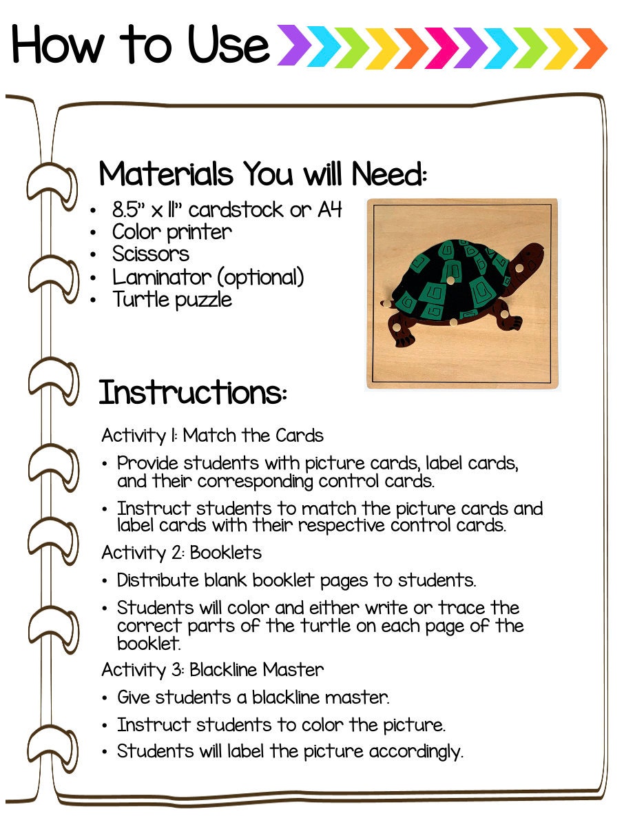 Parts of Turtle - Montessori 3-part-cards - Etsy