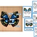 Parts of a Butterfly - Montessori 3-part-cards - Etsy
