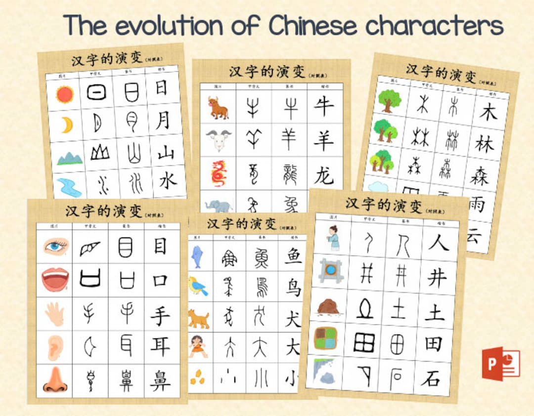 The Evolution of Chinese Characters - Etsy