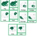 Parts of Frog Montessori 3-part-cards - Etsy