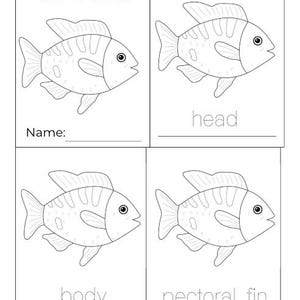 Parts of a Fish - Montessori 3-part-cards - Etsy