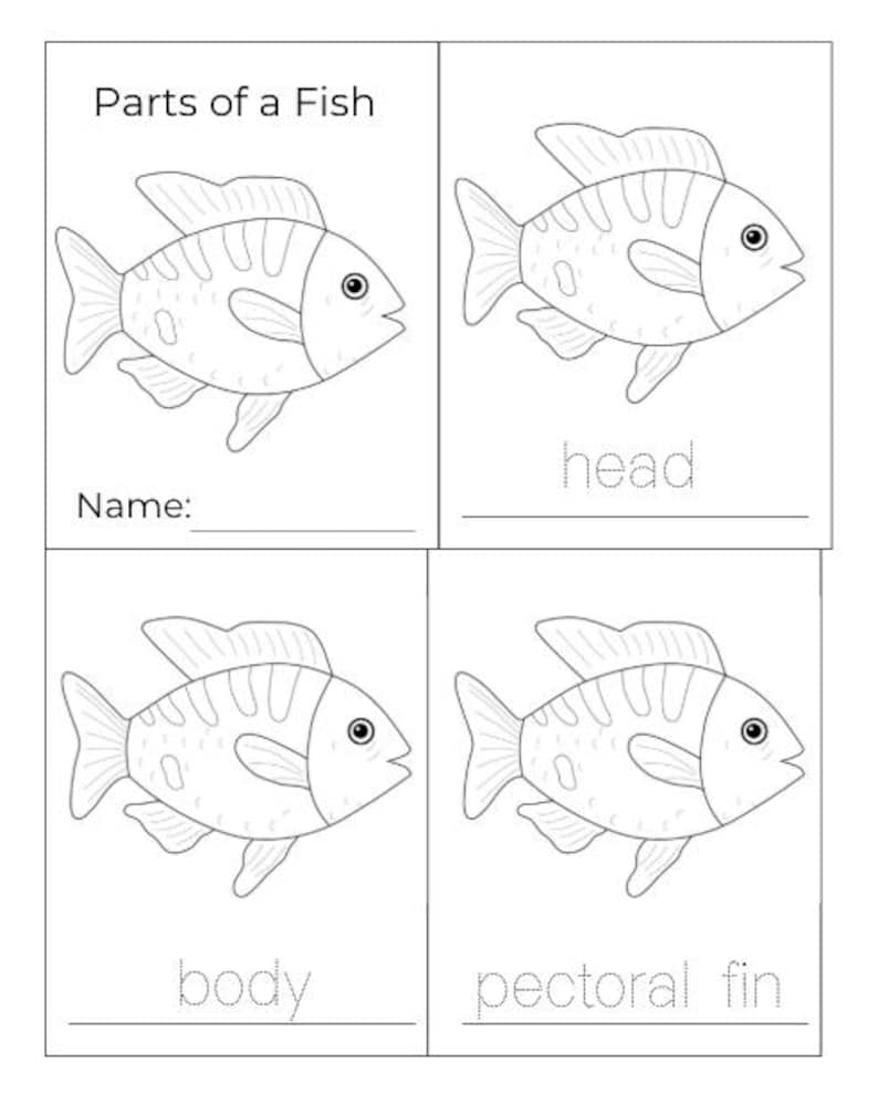 Parts of a Fish - Montessori 3-part-cards - Etsy