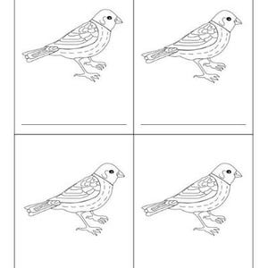 Parts of a Bird - Montessori 3-part-cards - Etsy