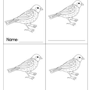 Parts of a Bird - Montessori 3-part-cards - Etsy