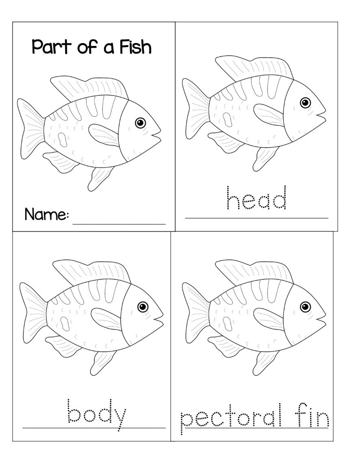 Parts of a Fish - Montessori 3-part-cards - Etsy Canada
