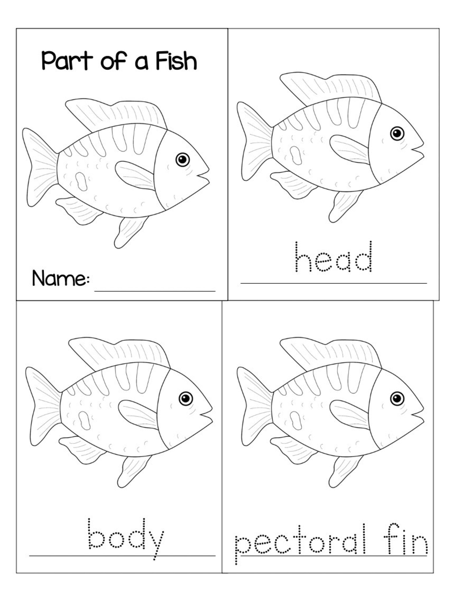 Parts of a Fish Montessori 3-part-cards - Etsy Canada
