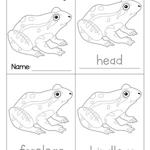 Parts of Frog - Montessori 3-part-cards - Etsy