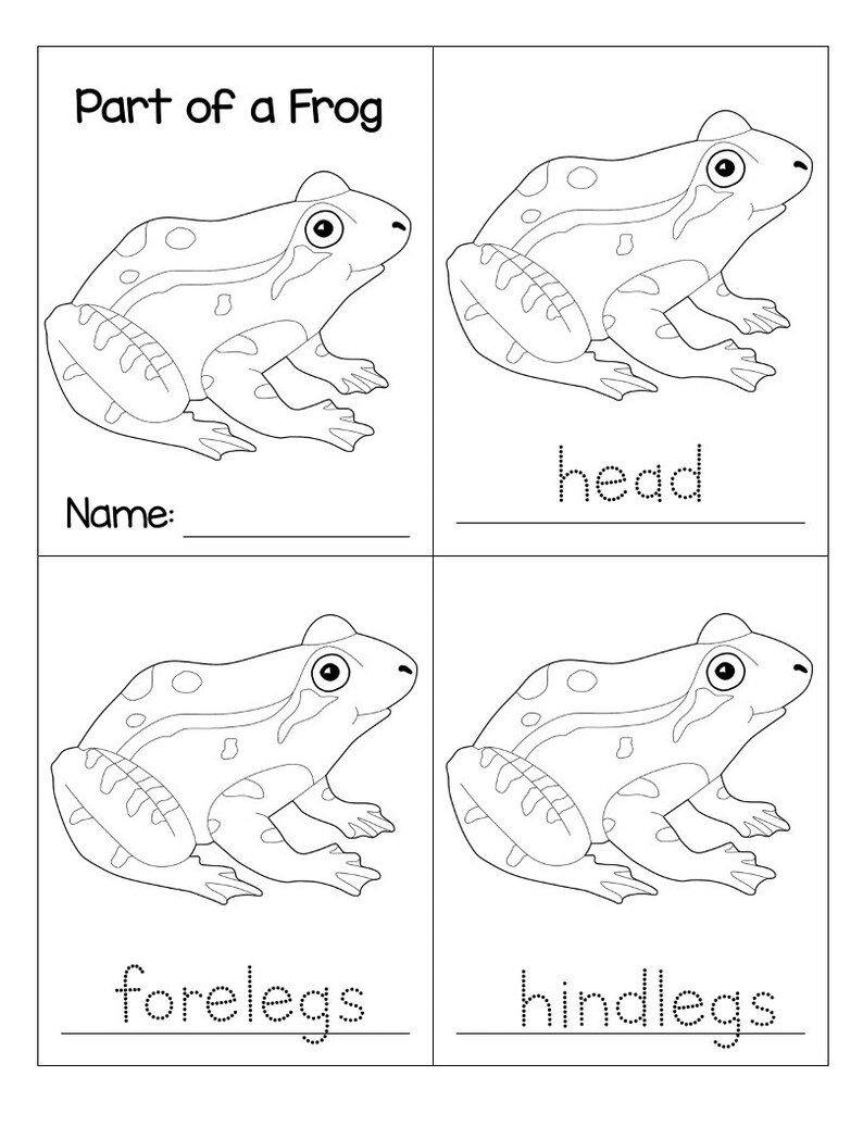 Parts of Frog - Montessori 3-part-cards - Etsy