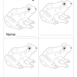 Parts of Frog - Montessori 3-part-cards - Etsy