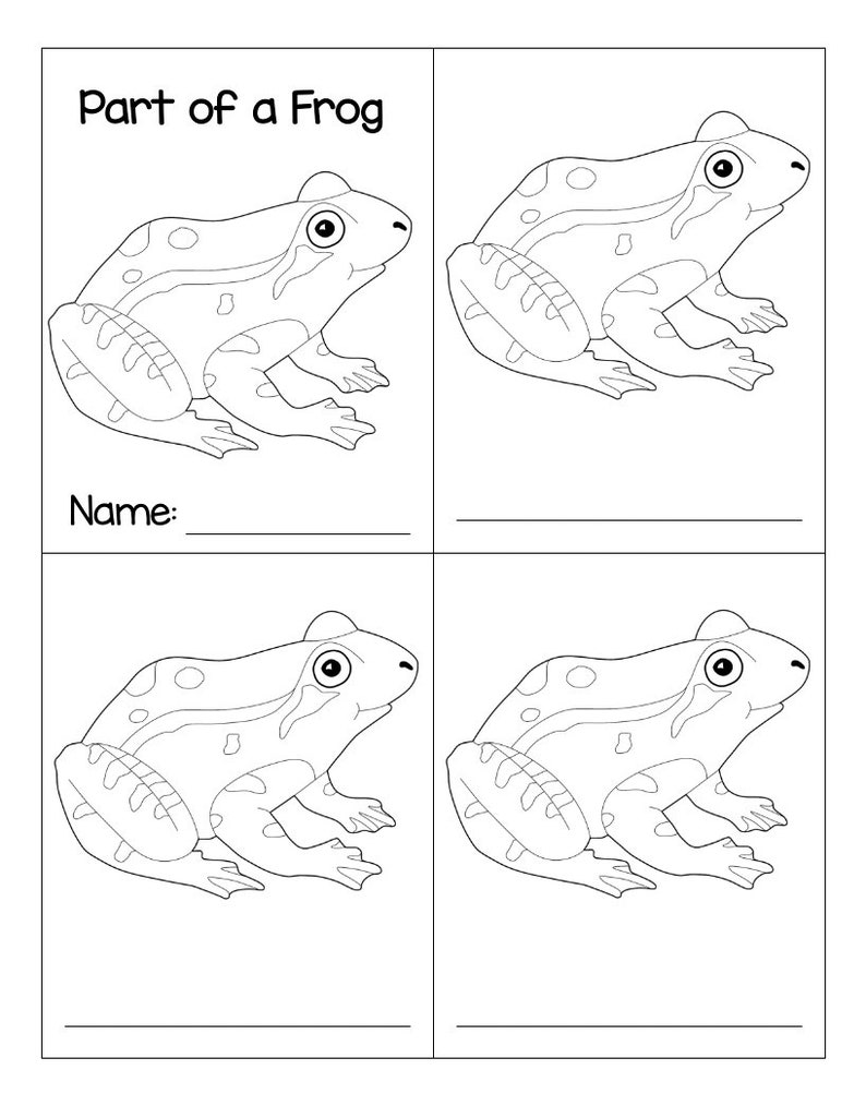 Parts of Frog - Montessori 3-part-cards - Etsy