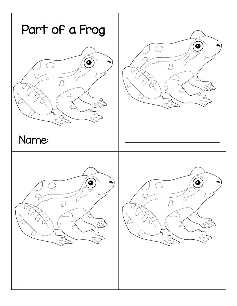 Parts of Frog - Montessori 3-part-cards - Etsy