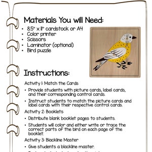 Parts of a Bird - Montessori 3-part-cards - Etsy