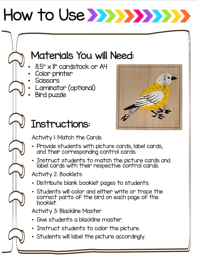 Parts of a Bird - Montessori 3-part-cards - Etsy