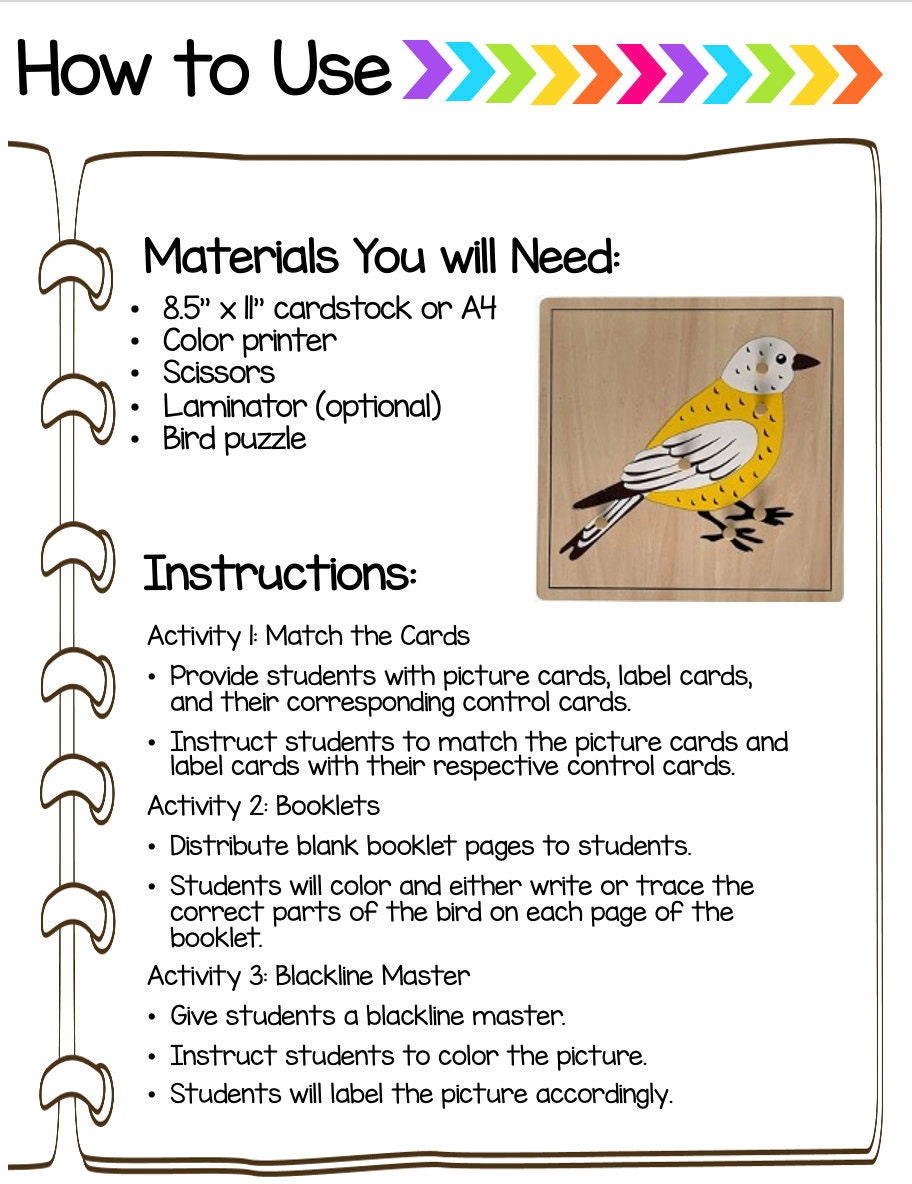 Parts of a Bird - Montessori 3-part-cards - Etsy
