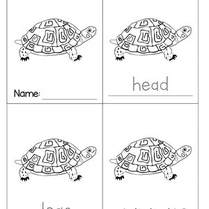 Parts of Turtle - Montessori 3-part-cards - Etsy