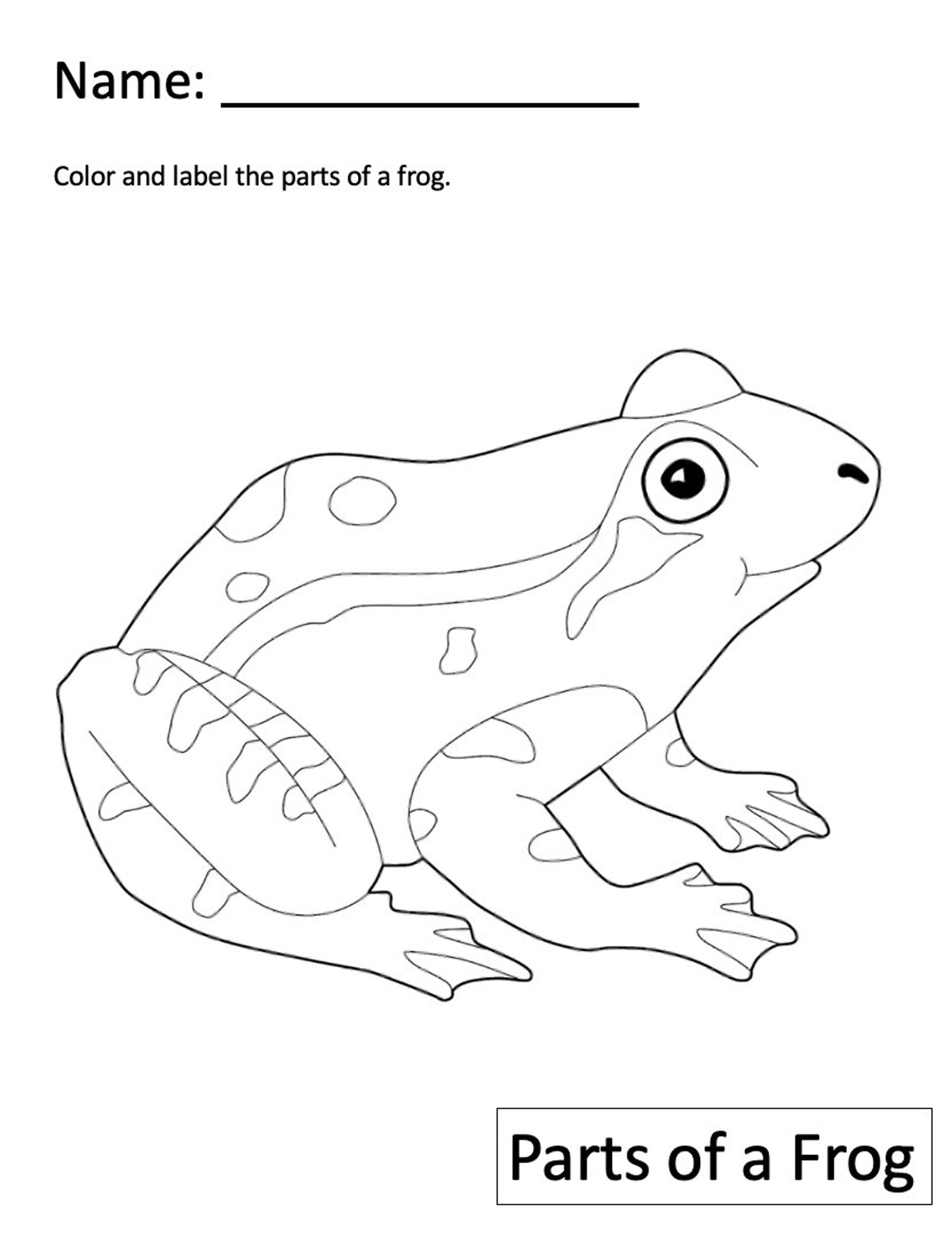 Parts of Frog - Montessori 3-part-cards - Etsy