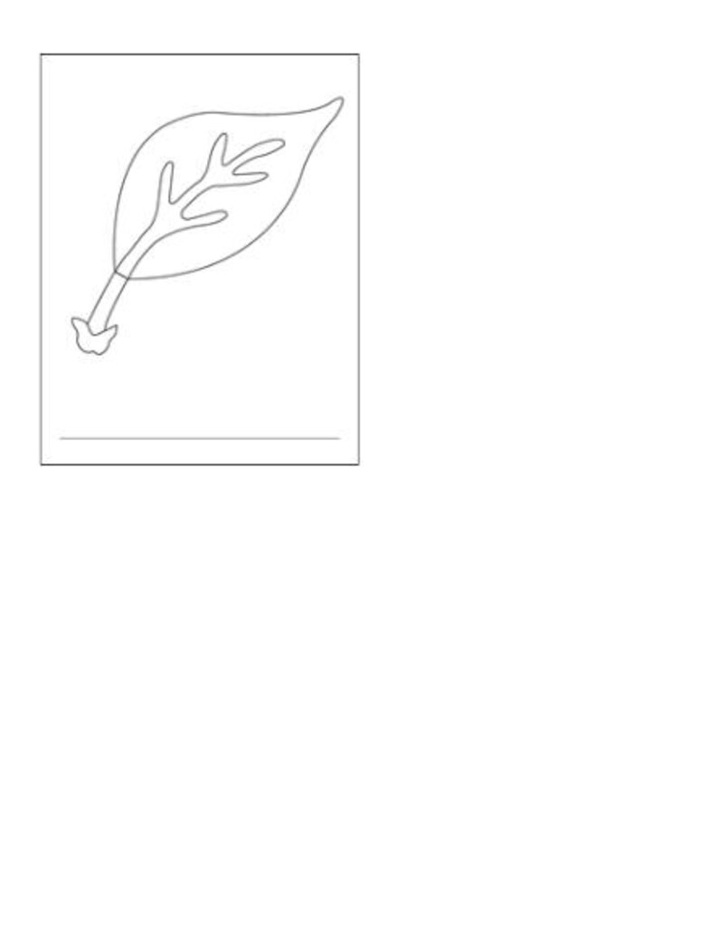 Parts of a Leaf - Montessori 3-part-cards - Etsy Canada