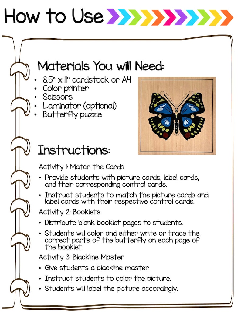 Parts of a Butterfly - Montessori 3-part-cards - Etsy