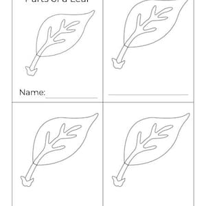 Parts of a Leaf - Montessori 3-part-cards - Etsy Canada