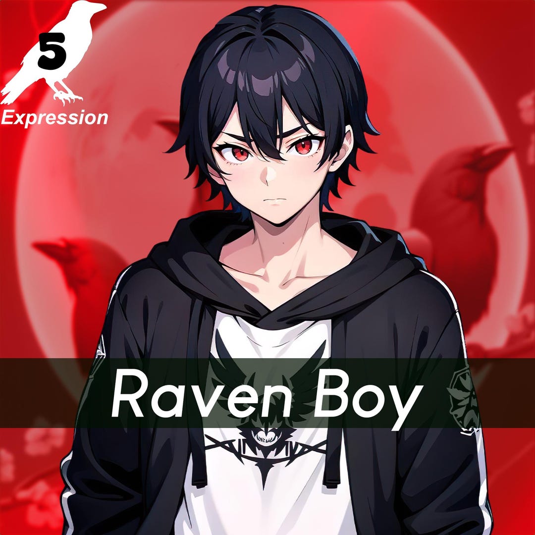 Pngtuber Raven Boy , 5 Expression , 2D Model , Male Pngtuber , Png ...