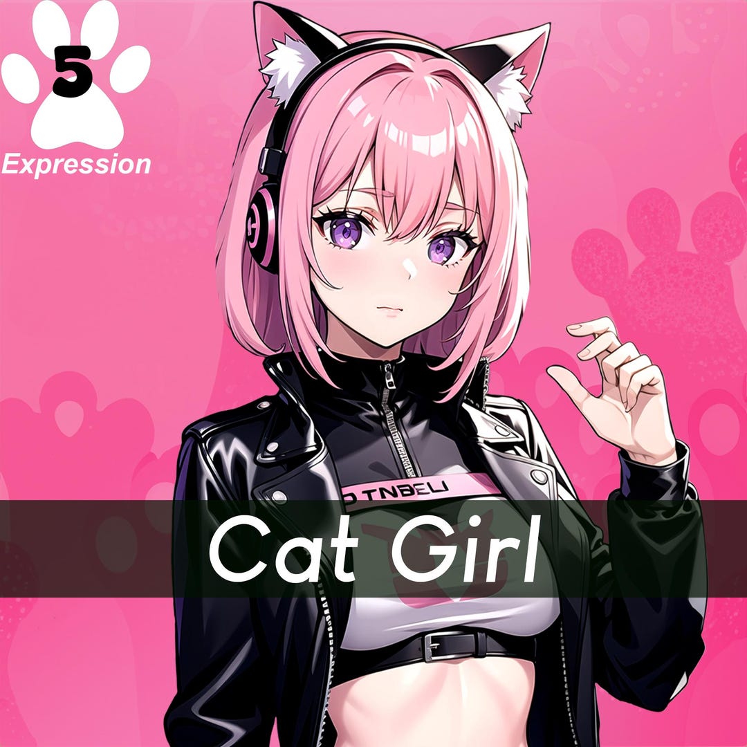 Pngtuber Cat Girl , 5 Expression , 2D Model , Female Pngtuber , Png ...